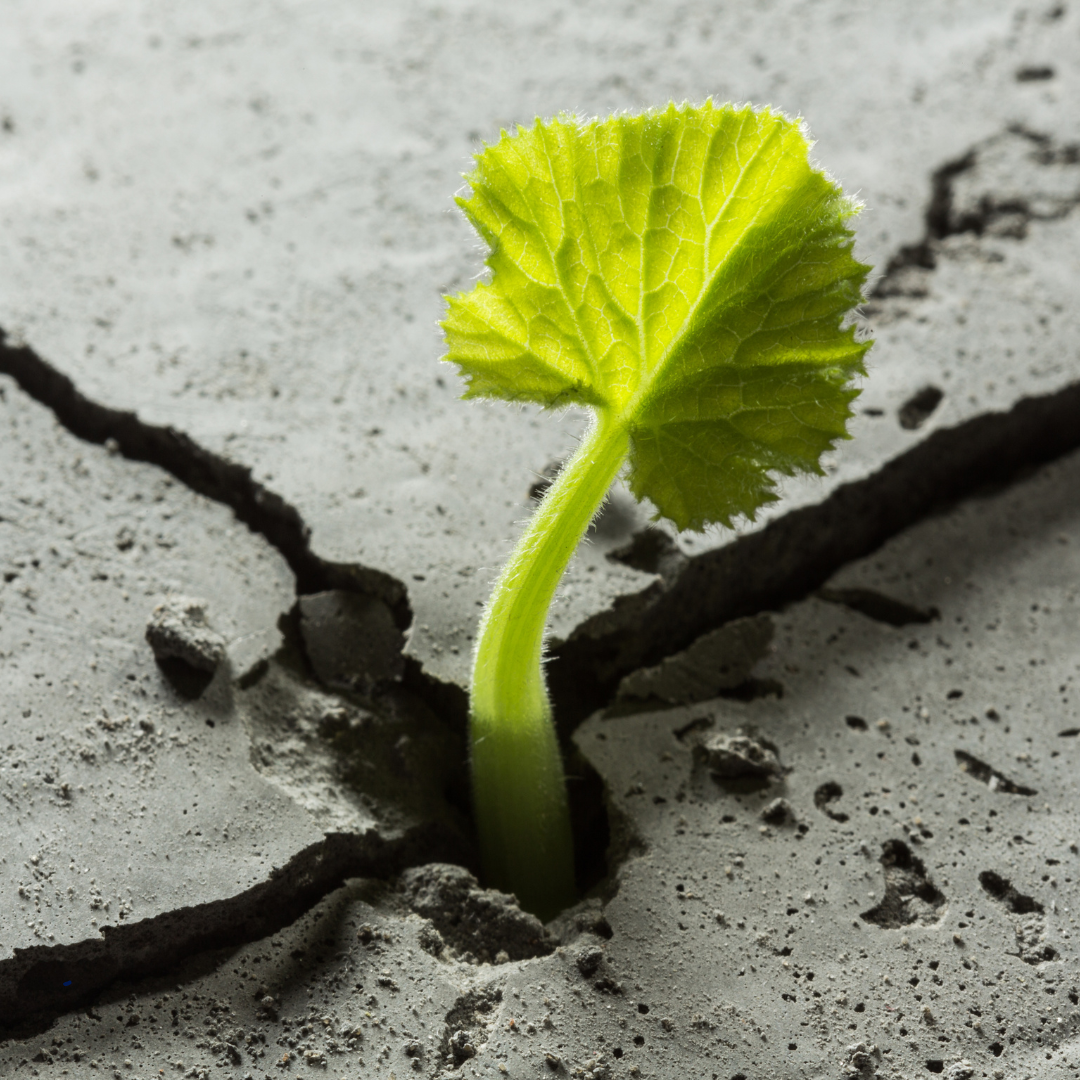 3 simple ways to increase resilience – Next Level Wealth Coach